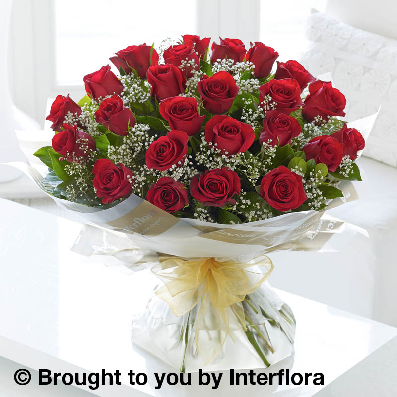 Dramatic Two Dozen - Navan Flowers