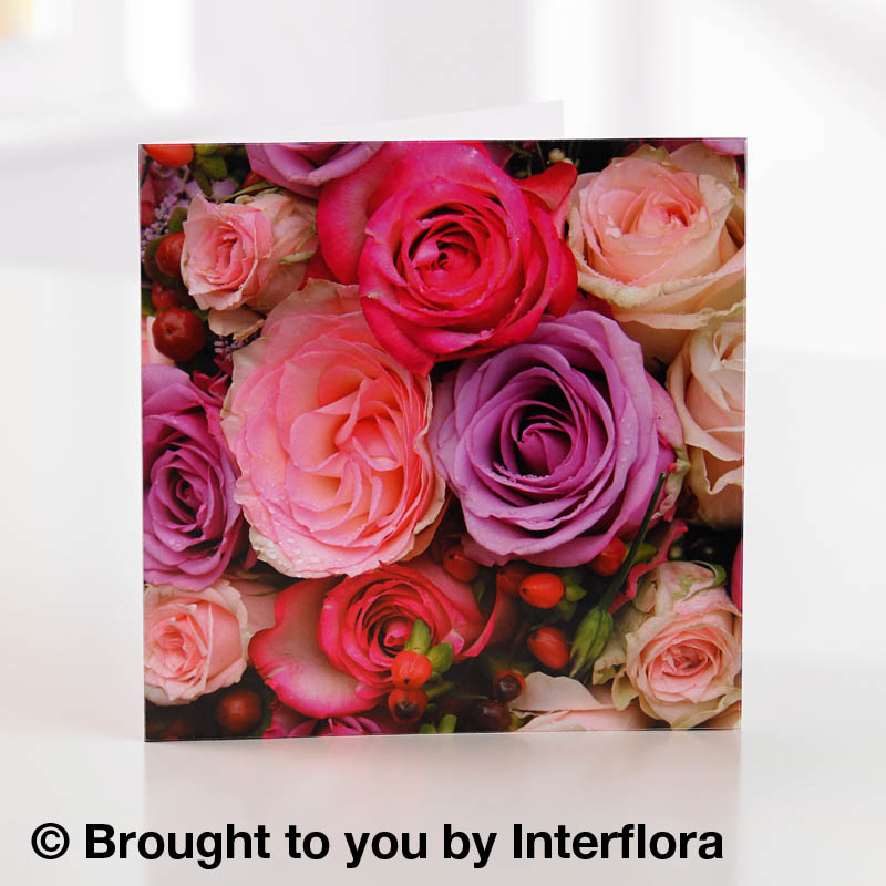 Rose Greeting Card - Navan Flowers